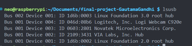Camera Software Setup · Issue #3 · cu-ecen-aeld/final-project-GautamaGandhi · GitHub