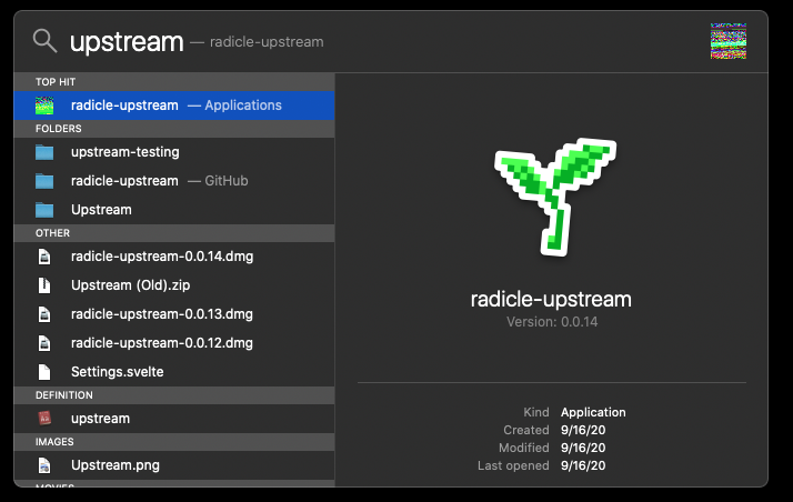 QA: v0.0.14 macOS · Issue #912 · radicle-dev/radicle-upstream · GitHub