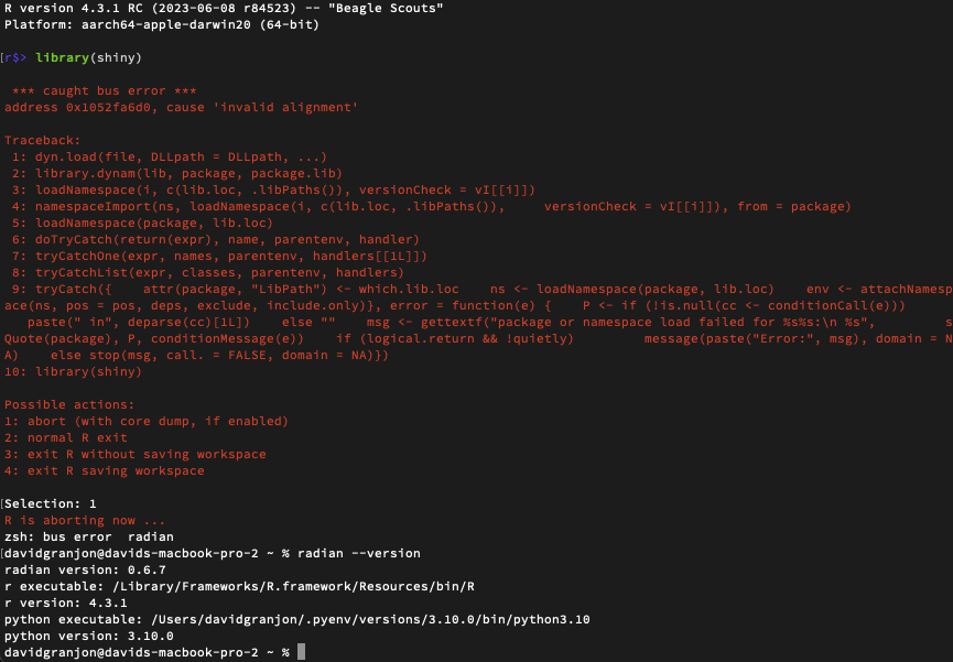 Bus Error on Radian Launch · Issue #439 · randy3k/radian · GitHub