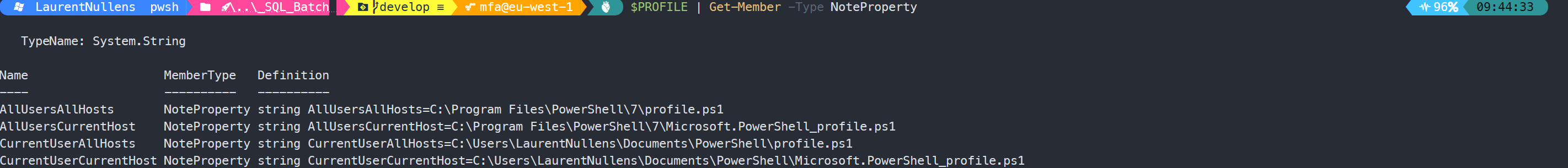 Git branch displayed 2 times and Python environment missing · Issue ...