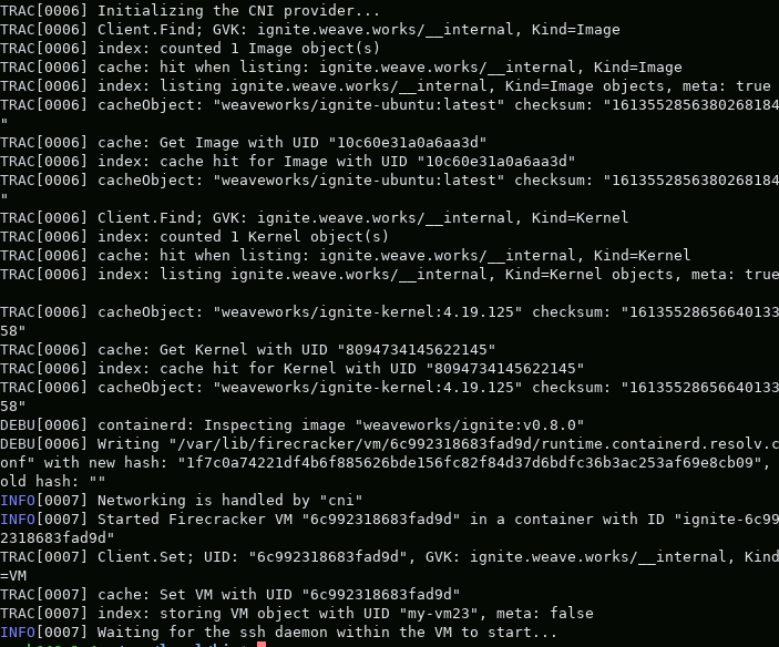 Supposedly starts with ssh agent, but ignite ps returns nothing · Issue #793 · weaveworks/ignite ...