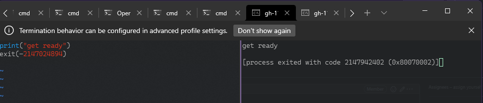 Error Codes Should Show Unsigned · Issue 11556 · Microsoftterminal · Github 