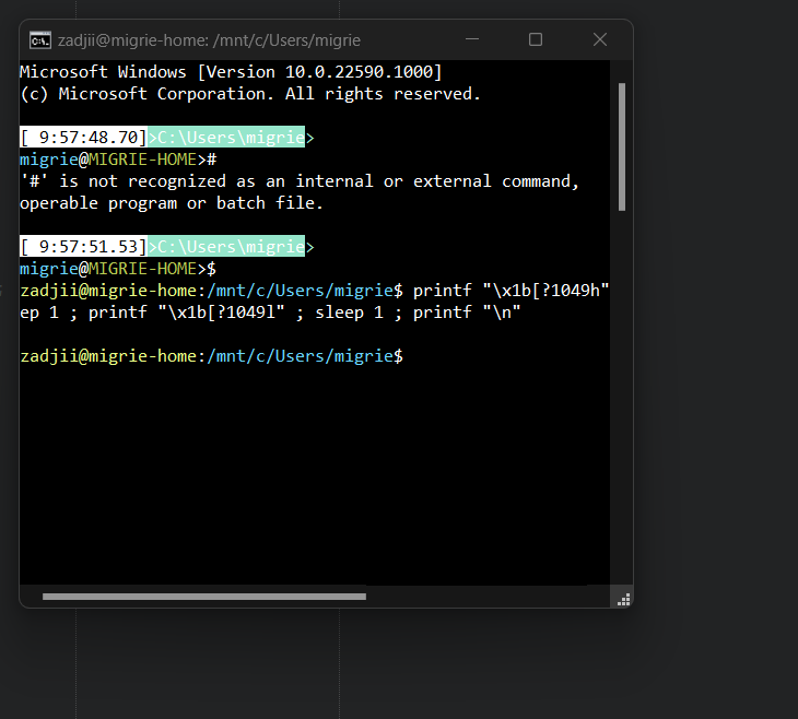 Build source · Issue #12830 · microsoft/terminal · GitHub