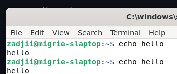 Backspacing å, ä or ö in Git Bash inside Windows Terminal leaves character · Issue #14896 ...