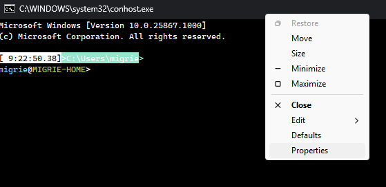 Terminal pagination breaks after resize · Issue #15386 · microsoft/terminal · GitHub