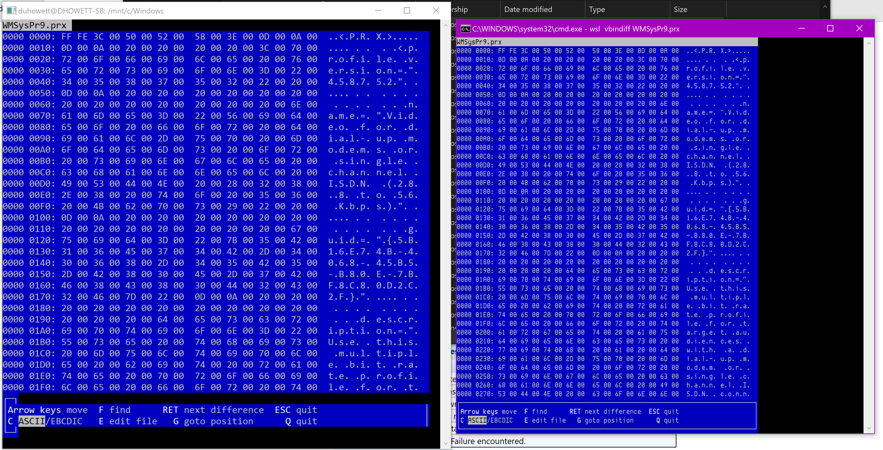 wsl ncurses programming bug, caused by incompatible terminfo · Issue #240 · microsoft/terminal ...