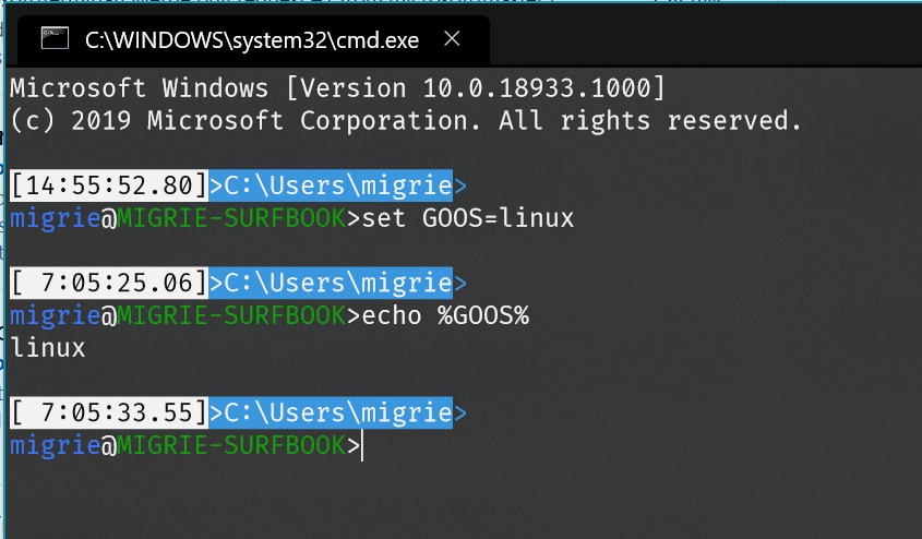 GOOS SET BUG · Issue #1904 · microsoft/terminal · GitHub