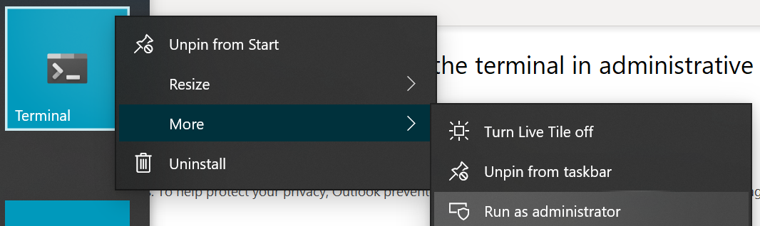 [Bug Report] I carnt run the terminal in administrative mode · Issue ...