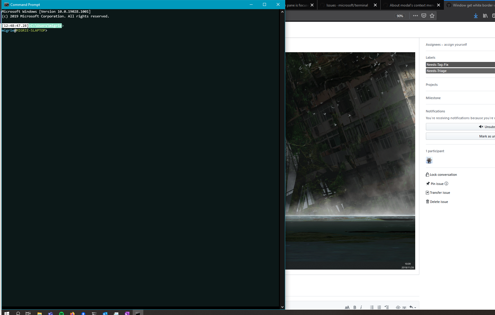 Window Get White Border When You Snapped To Leftright Half Of Screen · Issue 3711 · Microsoft 3954