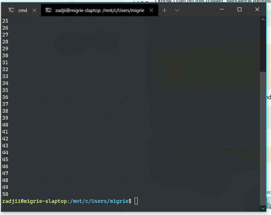 exceeding `historySize` variable set in `profiles.json` stops scrolling from happening · Issue ...