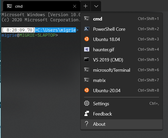 Terminal Crashing when trying to open new tab · Issue #7614 · microsoft/terminal · GitHub