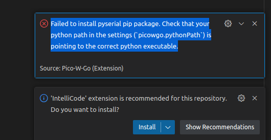 PicoWGo Does not work with vscode remote SSH development · Issue #78 · paulober/MicroPico · GitHub