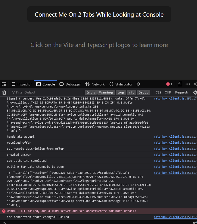 Webrtc Via Wasm Rust Fails With Vite Scripts But Is Fine With Other