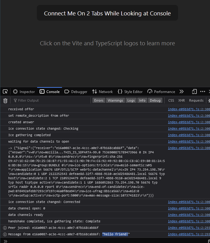 Webrtc Via Wasm Rust Fails With Vite Scripts But Is Fine With Other