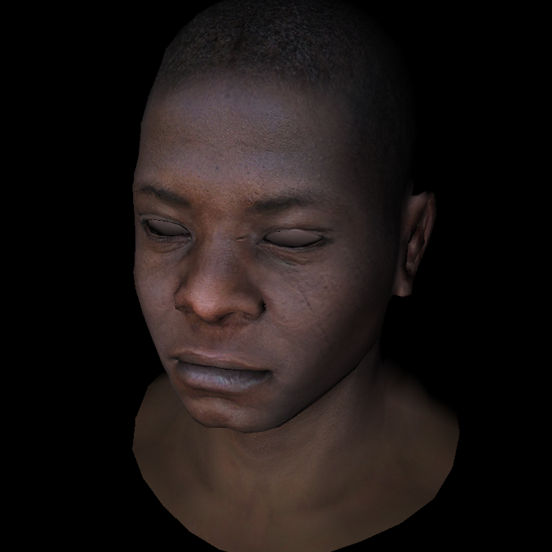 GitHub - M1v1savva/mini-renderer: My tinyrenderer implementation