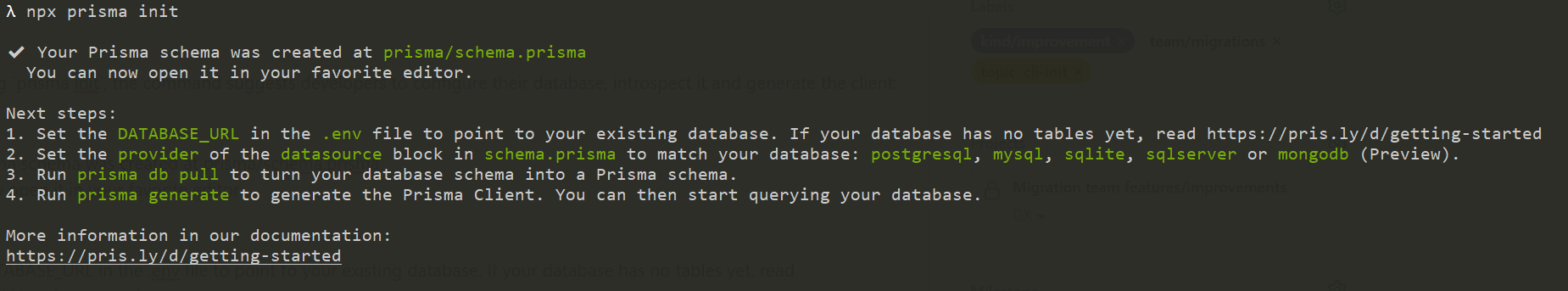 Evolve `prisma init` suggested workflow · Issue #5911 · prisma/prisma · GitHub