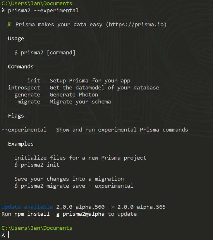 Add `introspect` And `generate` To Example Commands In Help Output 7484