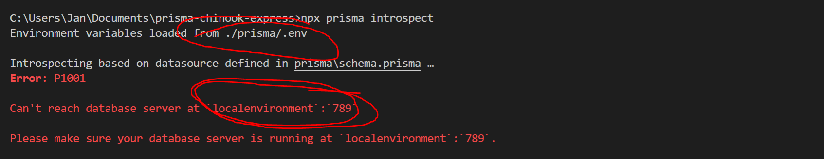 Local environment variable wins against value in `prisma/.env` although CLI says it is reading ...