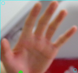 Hand Detect Problem--how to display the original image without skeleton · Issue #257 · CMU ...