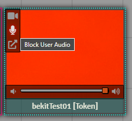 You cannot enable your microphone because you do not have permission to broadcast your audio ...