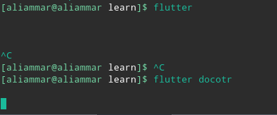 flutter command wait a lot of time before start · Issue #51264 ...