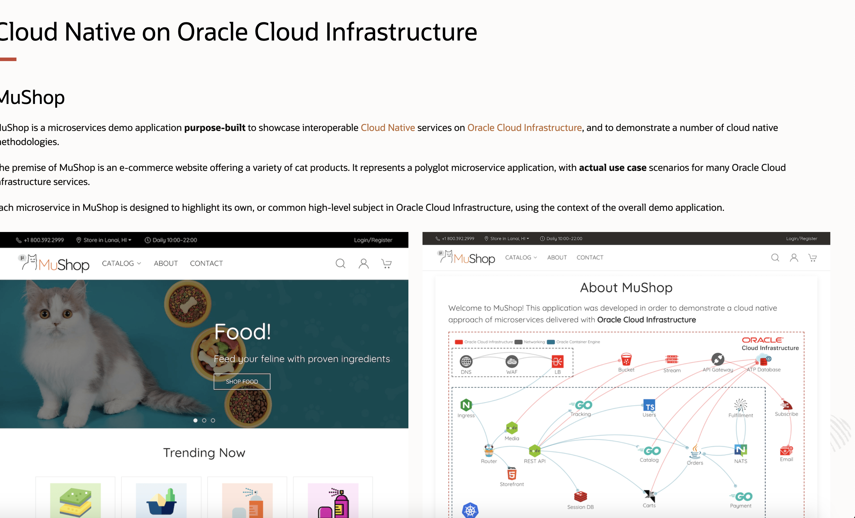 docs contains old topology image · Issue #74 · pgressa/oraclecloud-cloudnative · GitHub