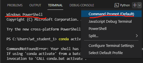 terminal.integrated.profiles.windows GitBash not working · Issue ...