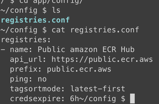 Could Not Get Aws Public Registry Endpoint · Issue 204 · Argoproj Labs Argocd Image Updater
