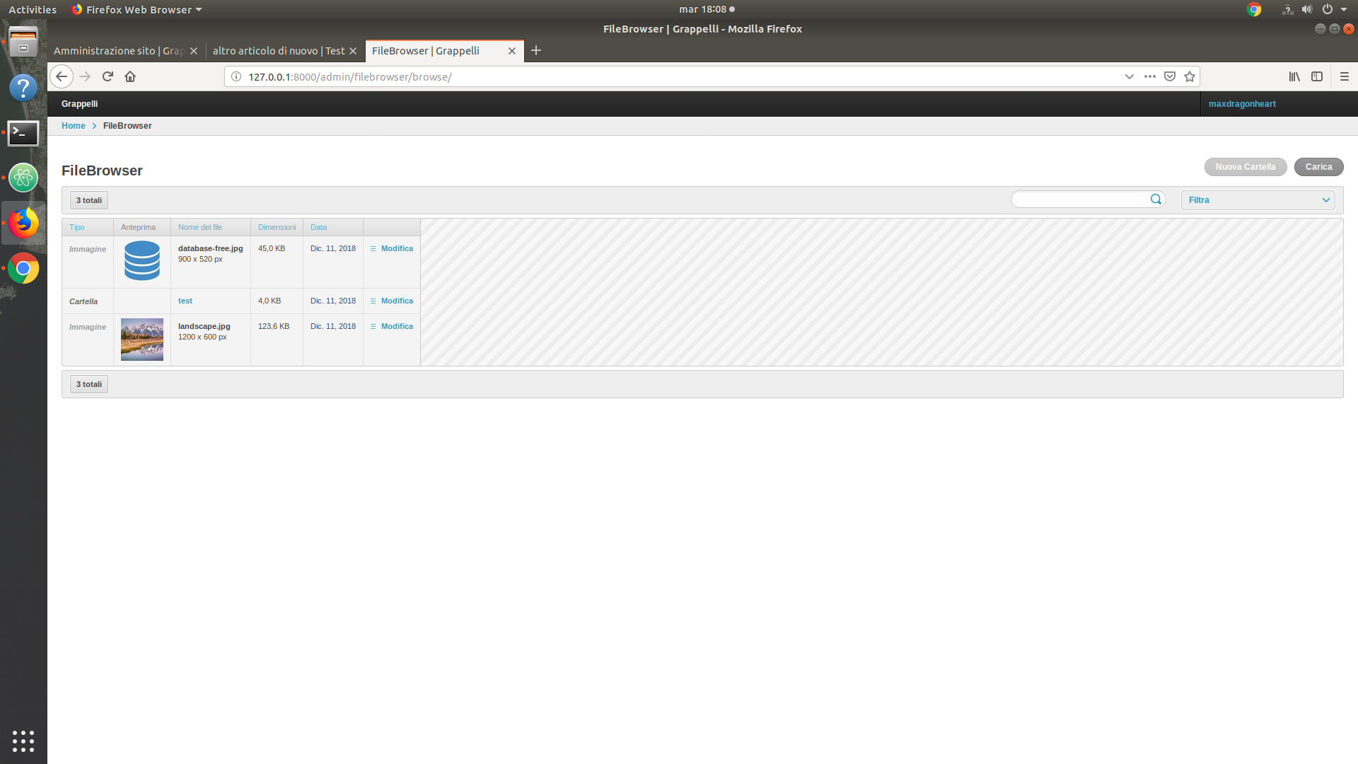 I Can T See Filebrowser Path In Administration Panel · Issue 365 · Sehmaschine Django