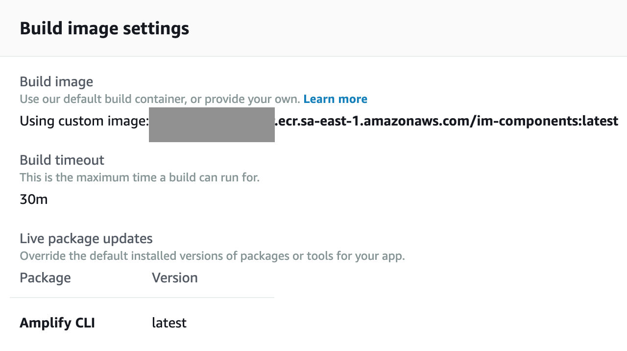 Build Fails Without Any Information When Use My Own Image On Amazon Ecr · Issue 100 · Aws