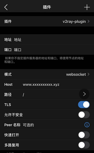 shadowsocks+v2ray-plugin+tsl , shadowrock配置，无法连接服务器 · Issue #242 · shadowsocks/v2ray-plugin · GitHub