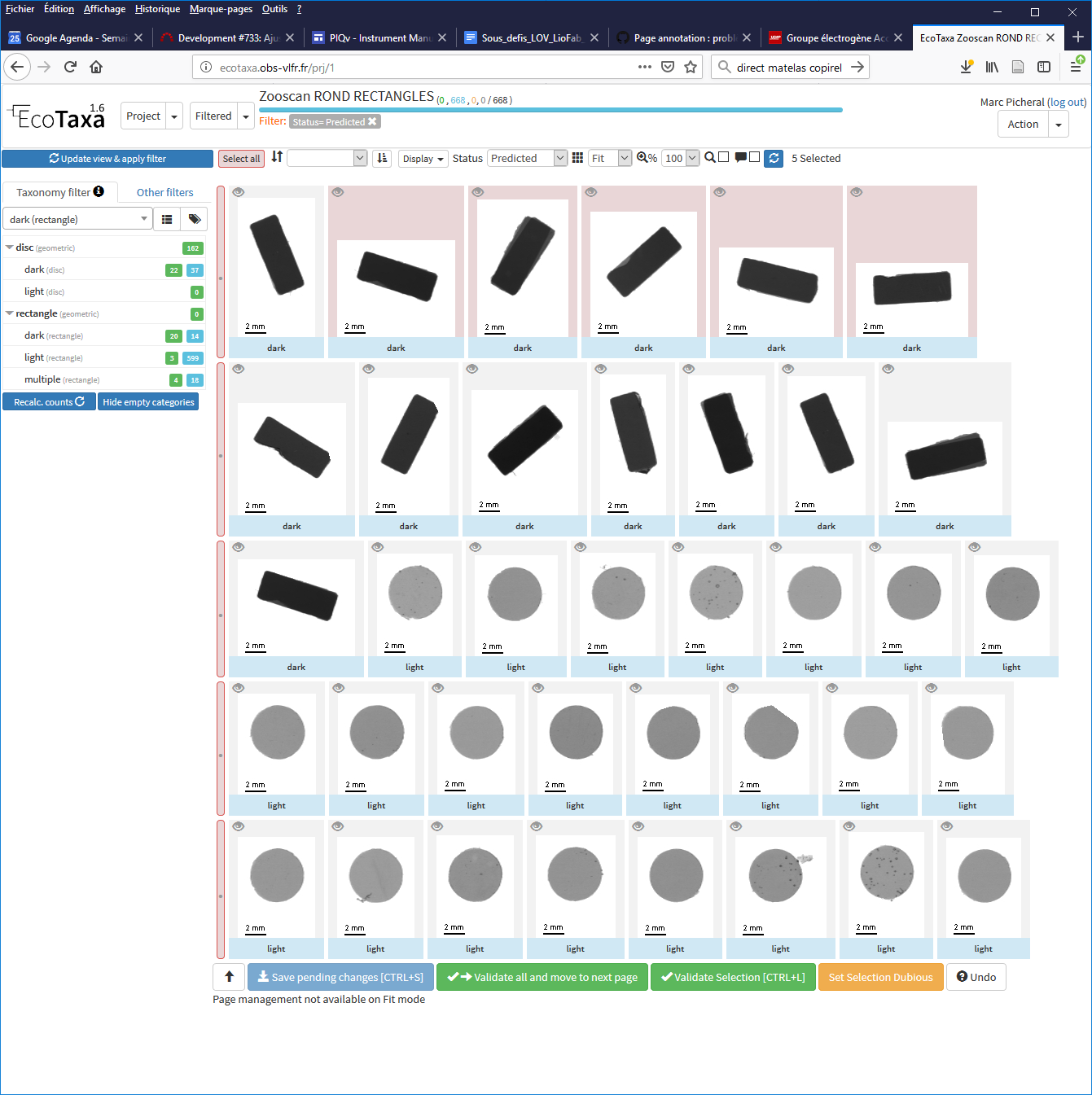 Homogenise and simplify taxa names in the interface · Issue #172 ...