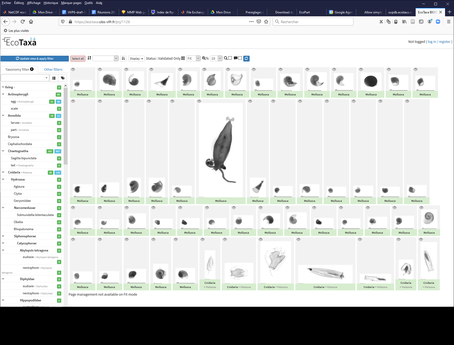 Project name hidden when not logged in · Issue #516 · ecotaxa/ecotaxa_front · GitHub