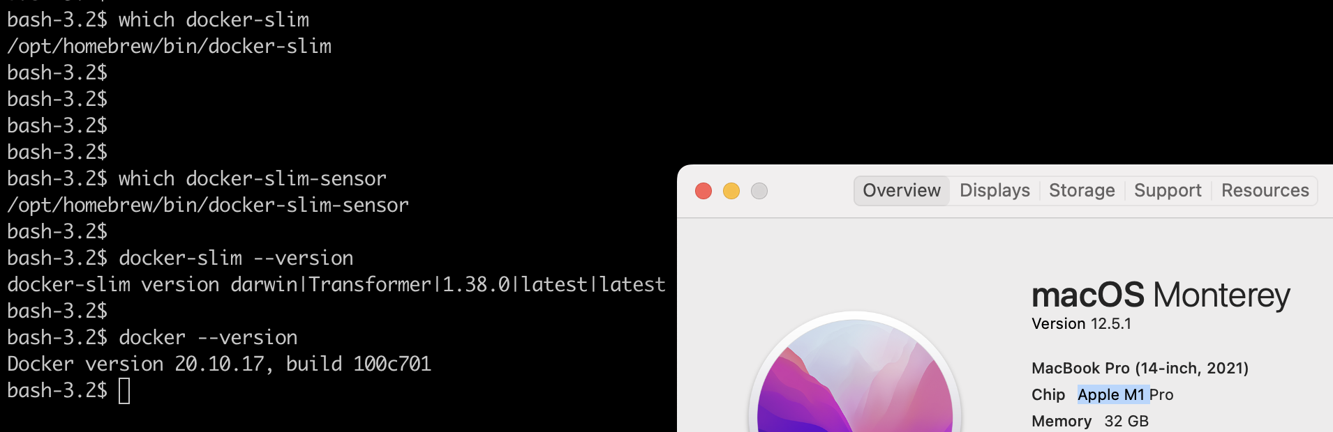 DockerSlim is not working · Issue #410 · slimtoolkit/slim · GitHub