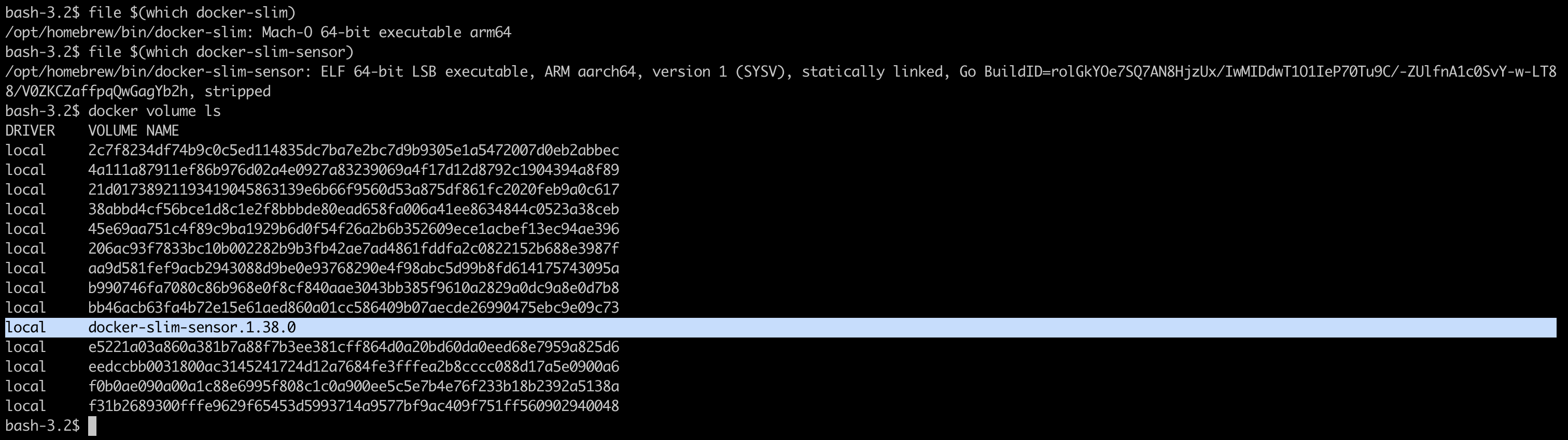 DockerSlim is not working · Issue #410 · slimtoolkit/slim · GitHub