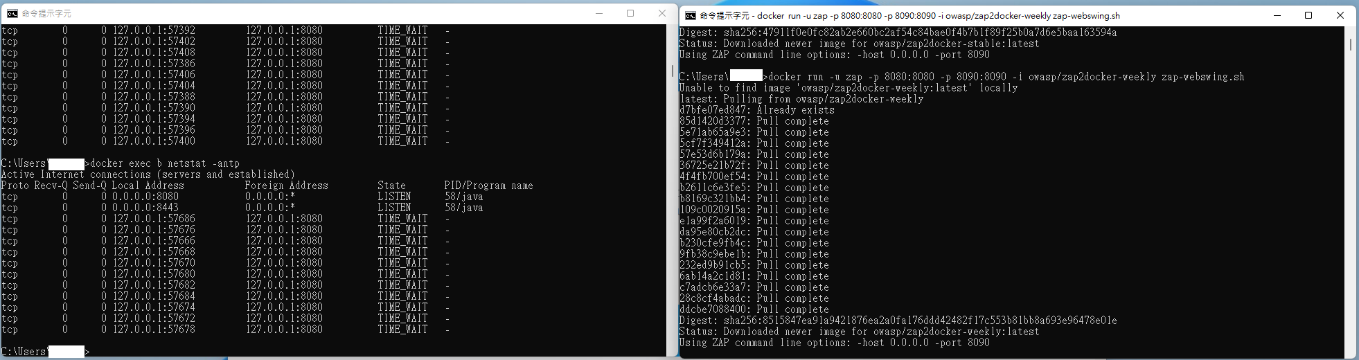 Zap With Webswing In Docker Will Not Start Its Proxy · Issue 7397 · Zaproxyzaproxy · Github