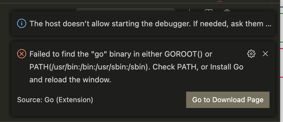 Liveshare: Cannot start Go Debug session · Issue #110796 · microsoft/vscode · GitHub