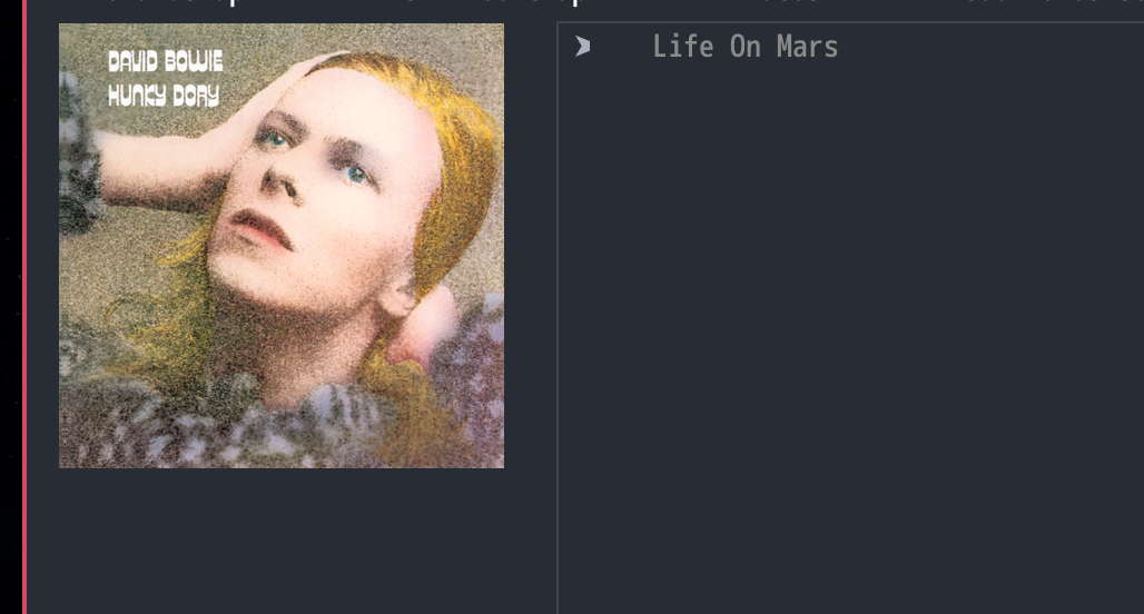 query: displaying images in ncmpcpp · Issue #598 · kovidgoyal/kitty ...