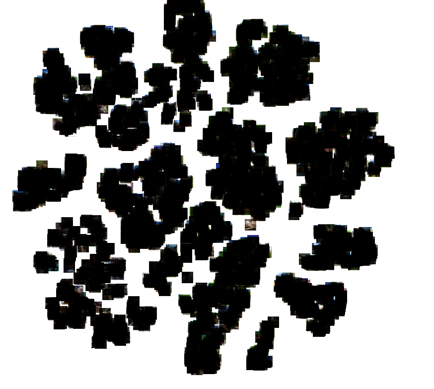 Embeddings Projector Doesn T Blend Sprites With Alpha Correctly · Issue 3778 · Tensorflow