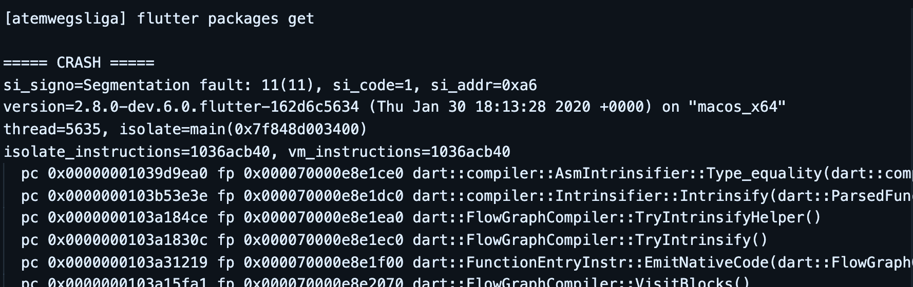 Flutter tool / Dart crash in AsmIntrinsifier::Type_equality(????) · Issue #50416 · flutter ...