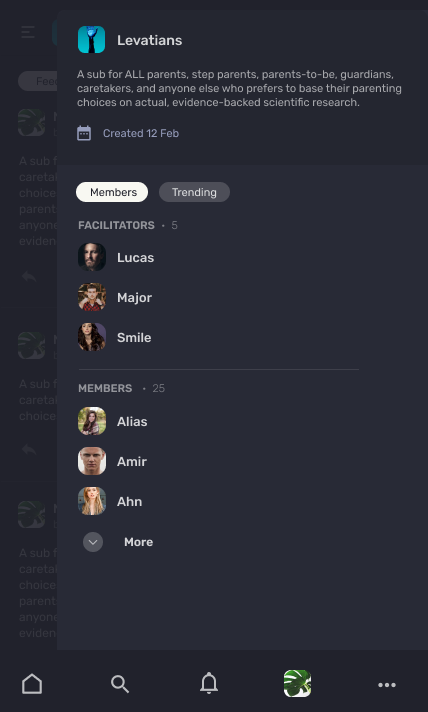 Group mockups and main requirements · Issue #470 · bonfire-networks/bonfire-app · GitHub
