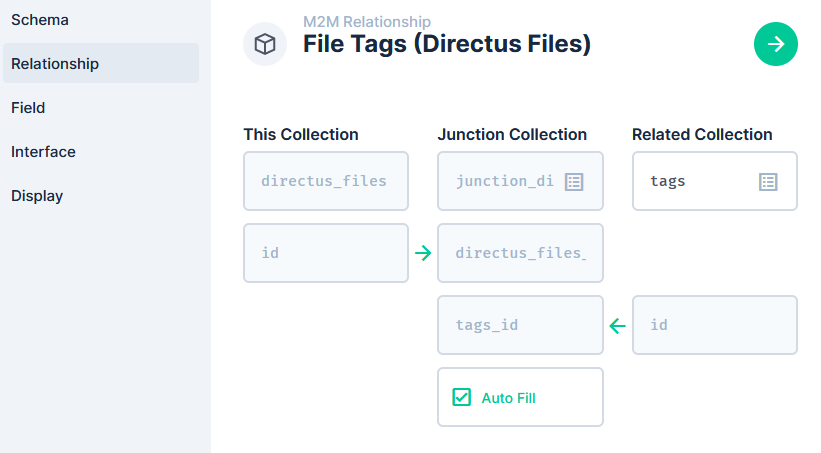 Creating a many-to-many relation on directus_files fails · Issue #6395 · directus/directus · GitHub