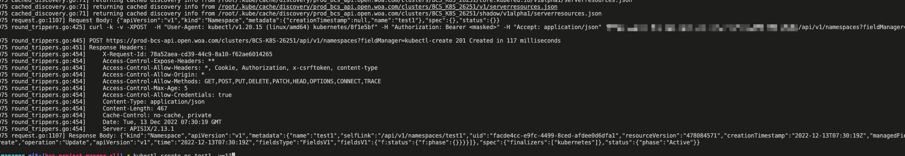 project-manager-cli 新增调试模式 & yaml 输出 · Issue #1946 · TencentBlueKing/bk-bcs · GitHub