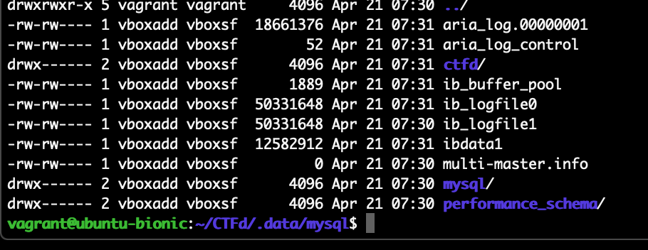 CTFd permission error by using custom Vagrant · Issue #961 · CTFd/CTFd · GitHub