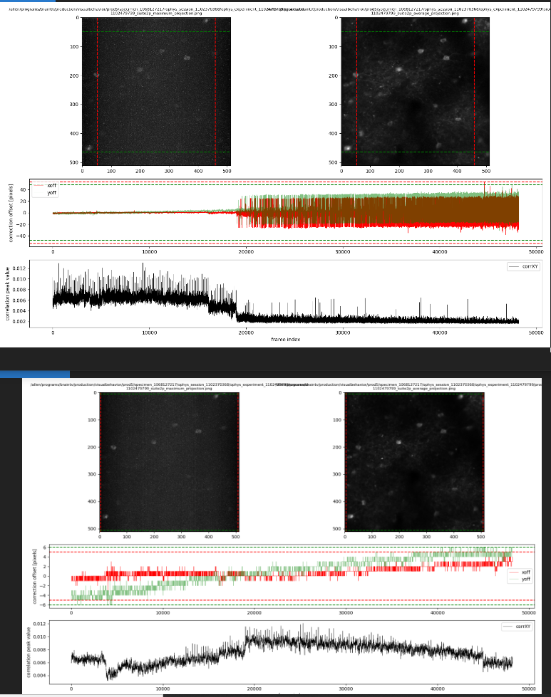 Investigate Suite2P motion correction module for source of erroneous max projection images ...