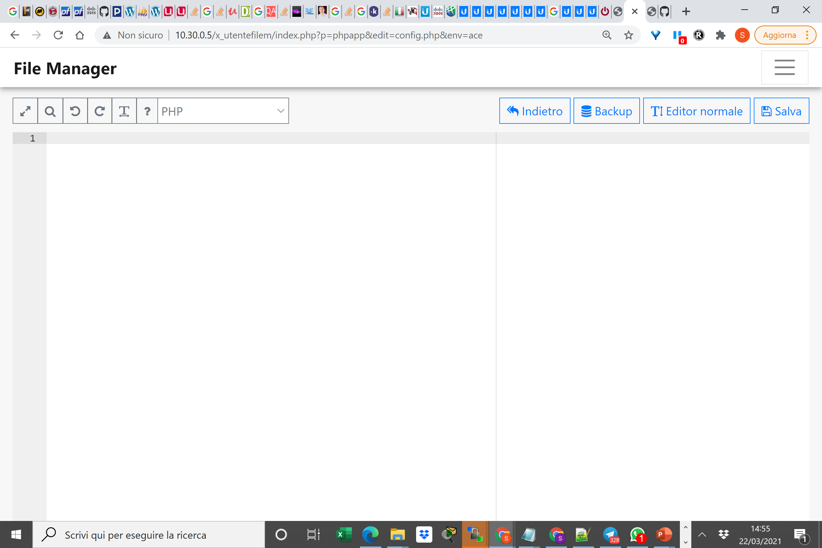 Blank page on modify · Issue #512 · prasathmani/tinyfilemanager · GitHub