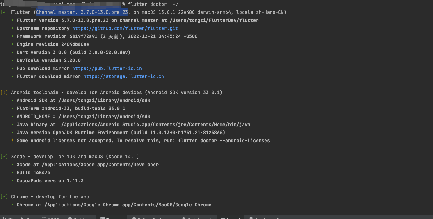 [tool][add 2 App] Can Not Run Flutter Module The Output Apk Does Not Exist · Issue 117570