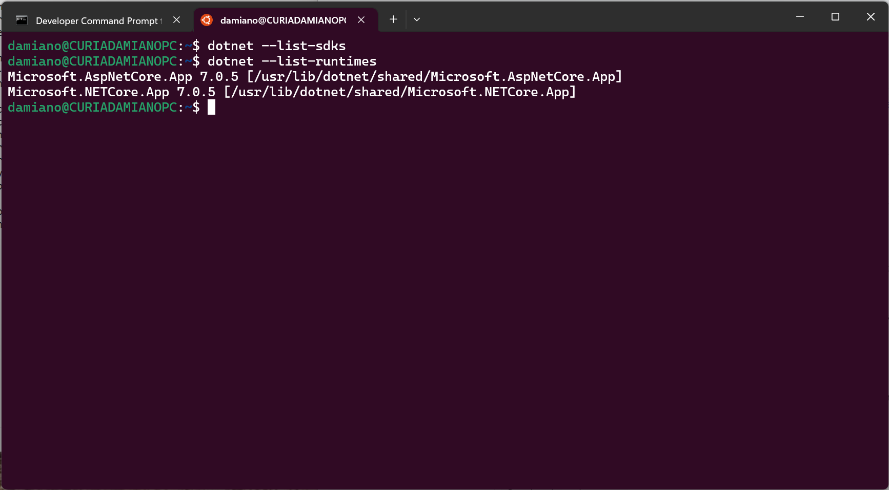 Unable to run xplat on WSL · Issue #11479 · AvaloniaUI/Avalonia · GitHub