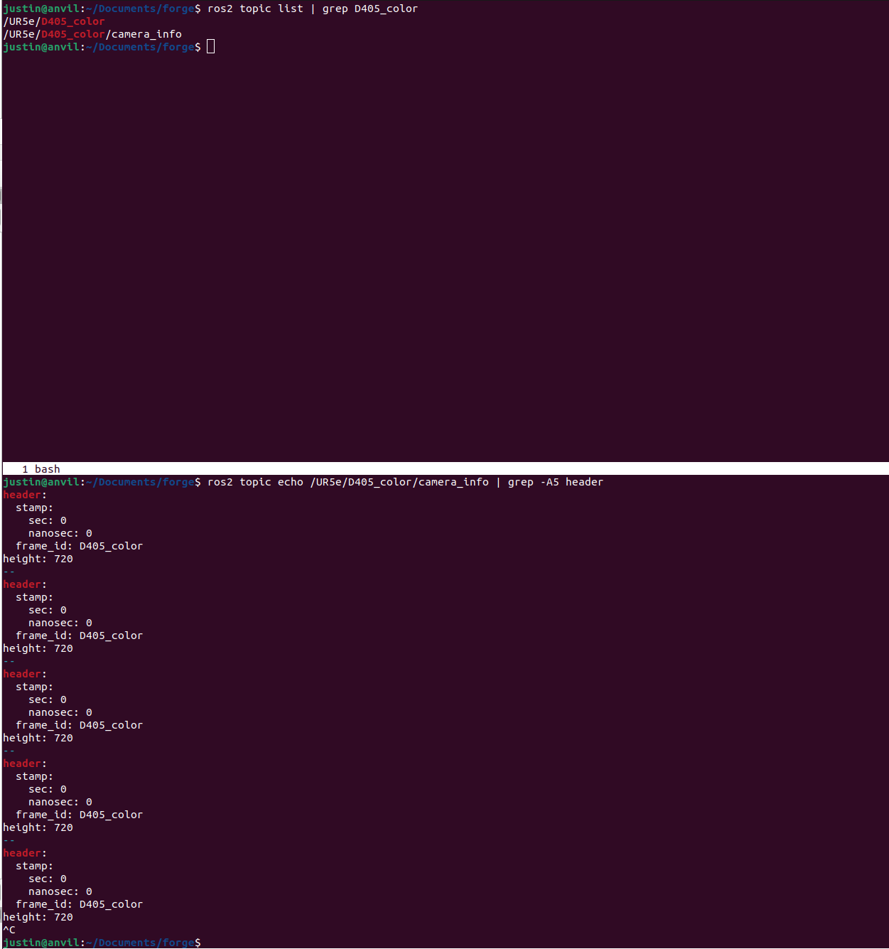 Ros2Camera publishes non-canonical topics and camera info · Issue #749 ...