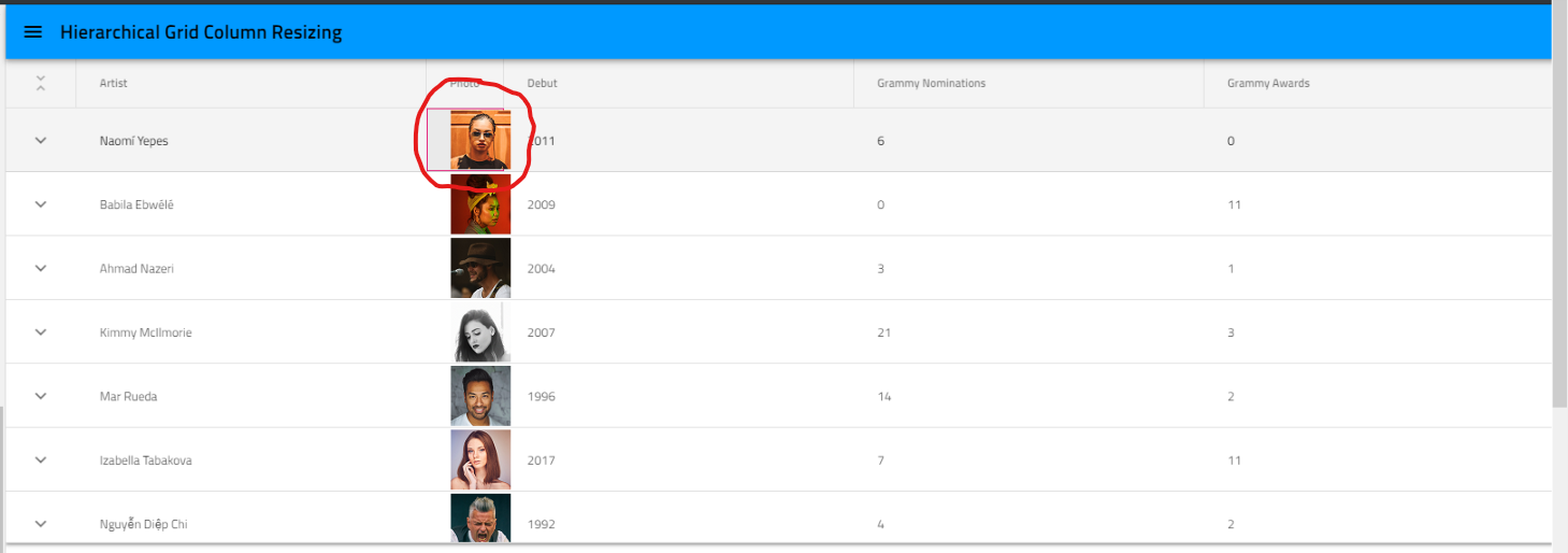 Hierarchical Grid Column Resizing sample does not have [minWidth] set for the Photo column ...